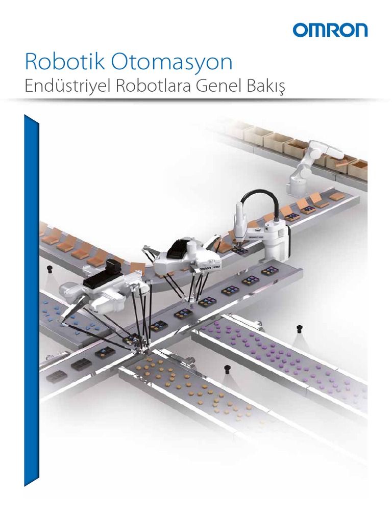 Industrial Robot Overview Brochure Tr Pdf