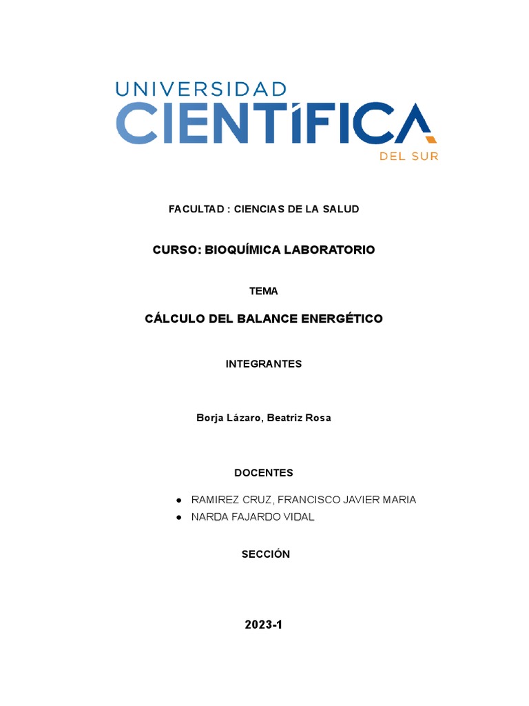 Cálculo Del Balance Energético | PDF | Dieta | Alimentos