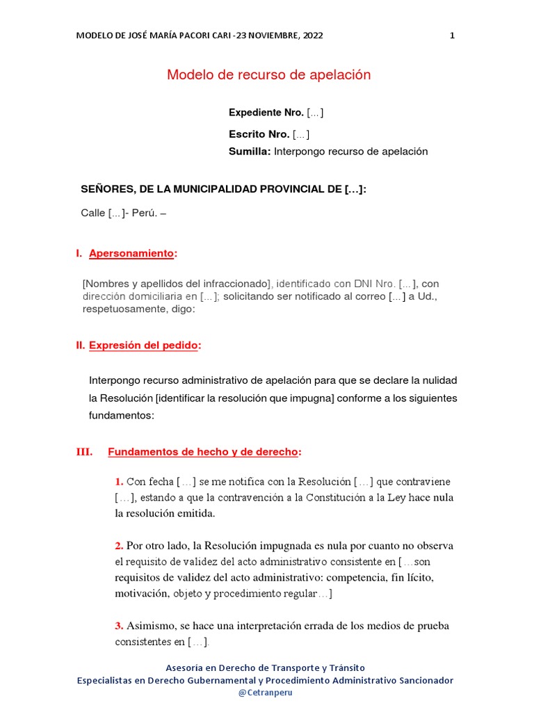 Modelo de Recurso de Apelación | PDF