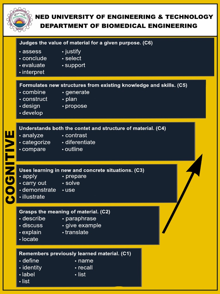 PG 10,12 Cognitive | PDF