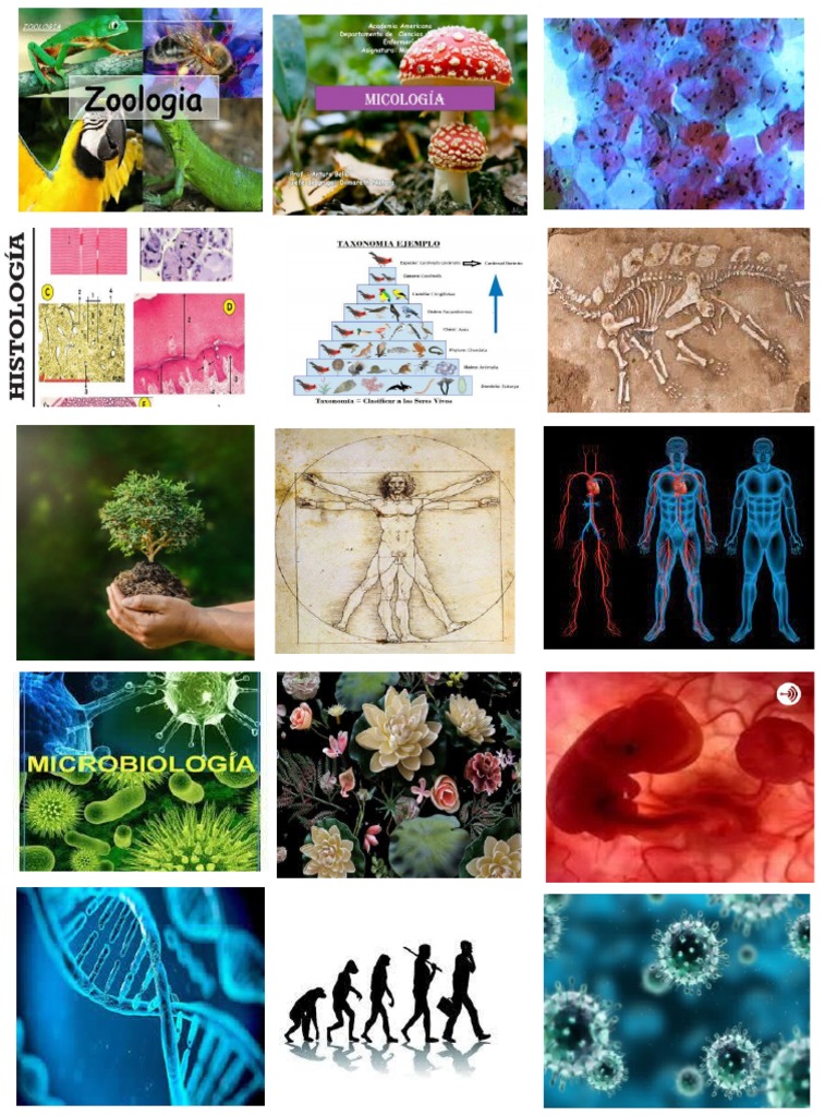 Ramas de La Biologia | PDF