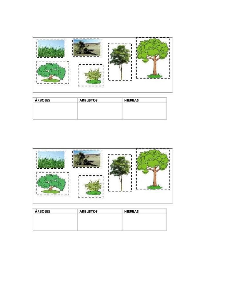 Actividad Arbusto, Arbol y Hierba | PDF