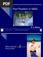 Sea Turtle Gastrointestinal Anatomy | PDF | Gastrointestinal Tract ...