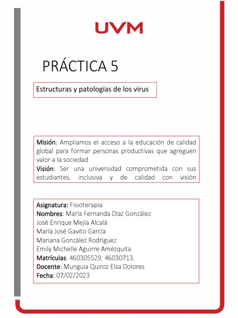 Estructuras y Patologías de Los Virus | PDF | Virus | Bacteriófago