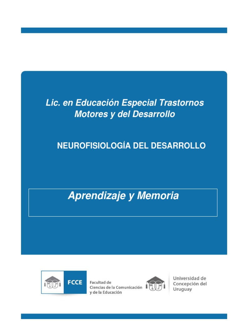 4 3 Aprendizaje Y Memoria Pdf Memoria Sinapsis