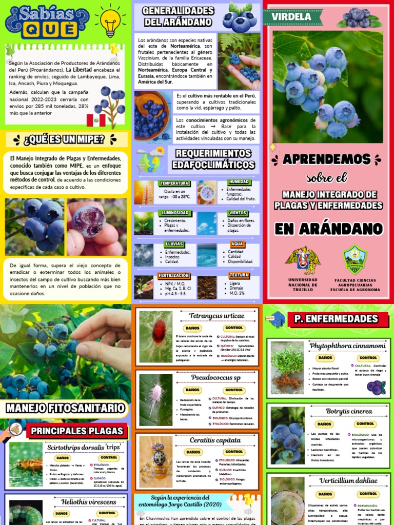 Mipe - Tríptico. | PDF | Plaga (organismo) | Insectos