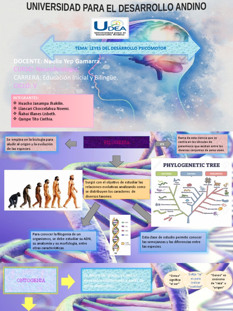FILOGENIA Y ONTOGENIA | PDF | Reproducción | Procesos biologicos