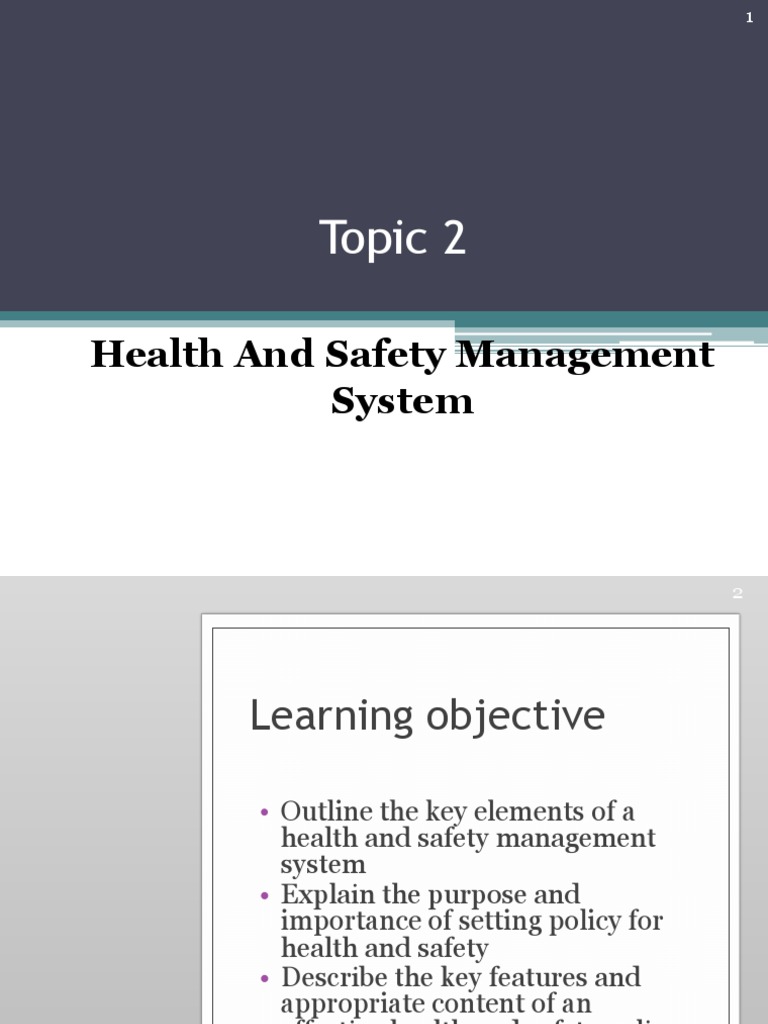 2) L-2 Health and Safety Management System (HSEMS) | PDF | Occupational ...