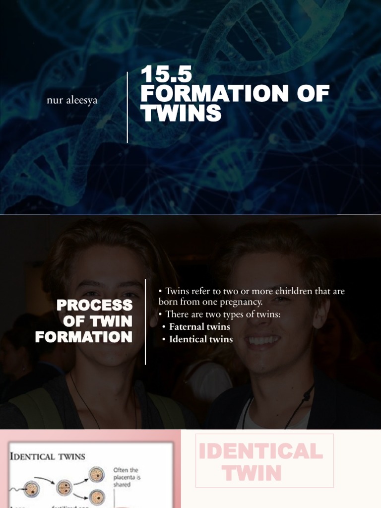 Twin Formation: Types and Processes | PDF