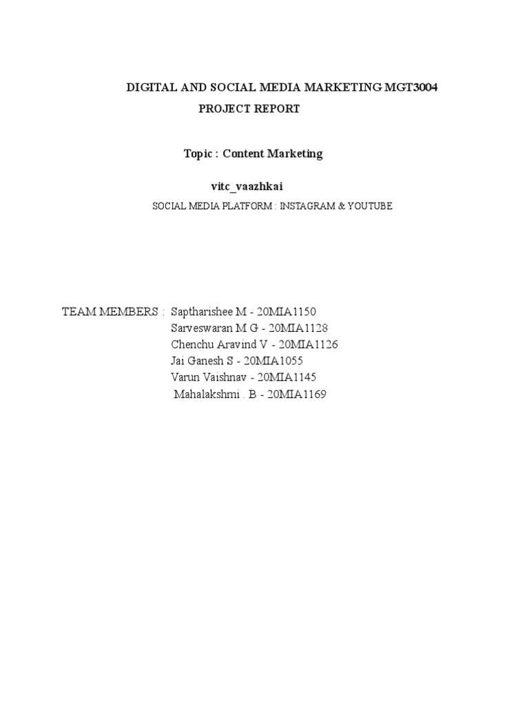 DSM Project | PDF | Social Media | Popular Culture & Media Studies