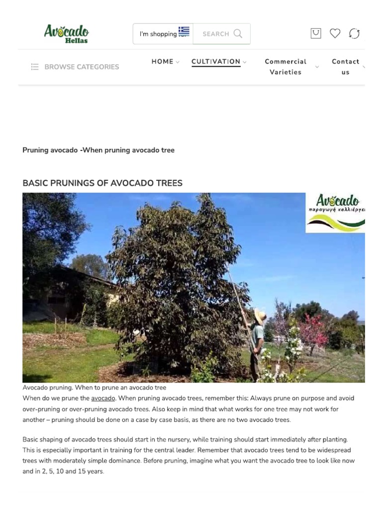Prune Avocado | PDF