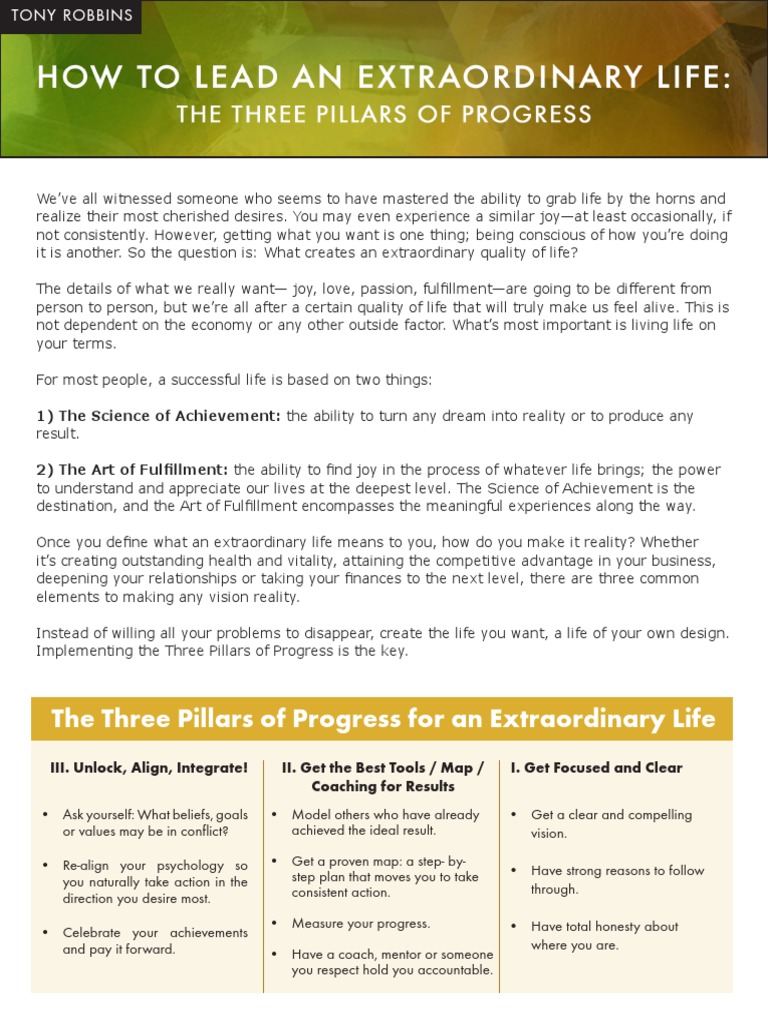 Three Pillars for an Extraordinary Life | PDF | Reality | Quality Of Life