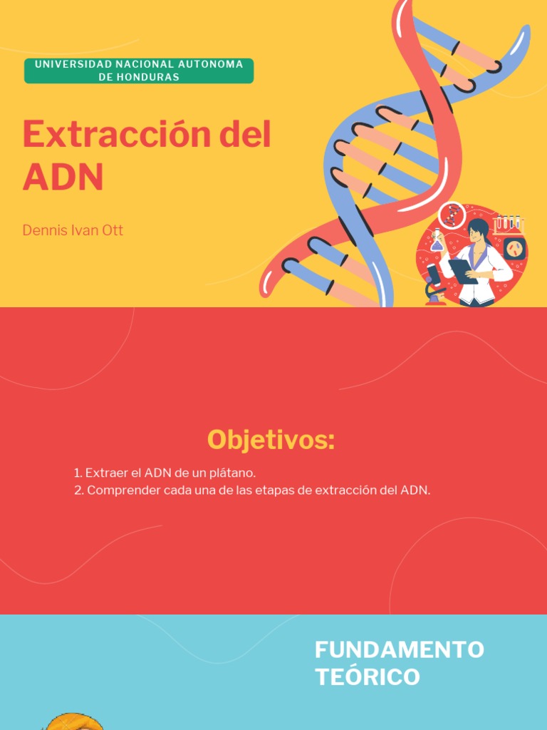 Extraccion Del ADN | PDF | Adn | Proteínas