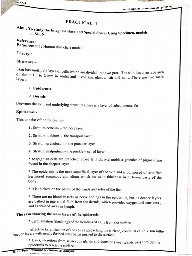 HAP 2 Practical | PDF