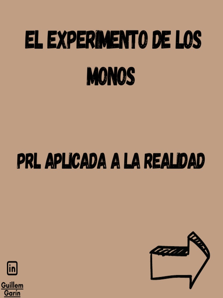 El Experimento de Los Monos | PDF