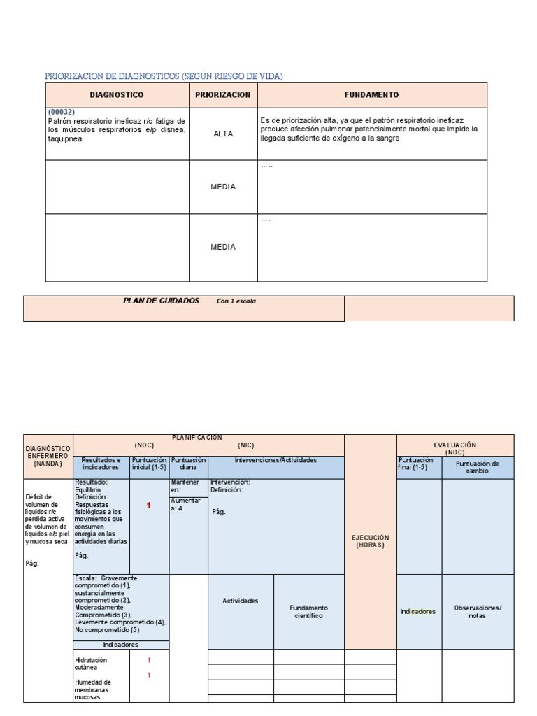 2023-1 ESQUEMA Nic Noc 22 | PDF | Sistema respiratorio | Estilo de vida ...