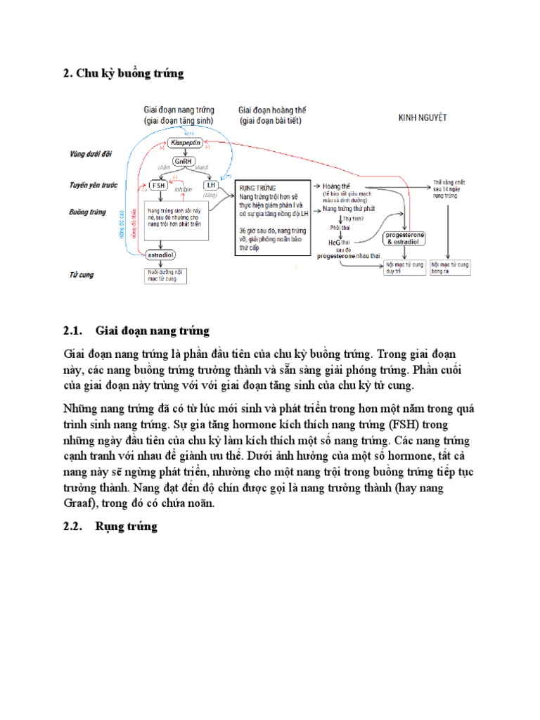Chu K Bu NG TR NG | PDF
