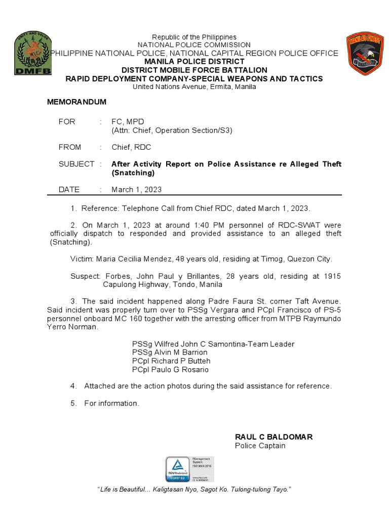 Police Assistance Report: Theft Incident | PDF
