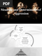Aggressive Cues Theory | PDF