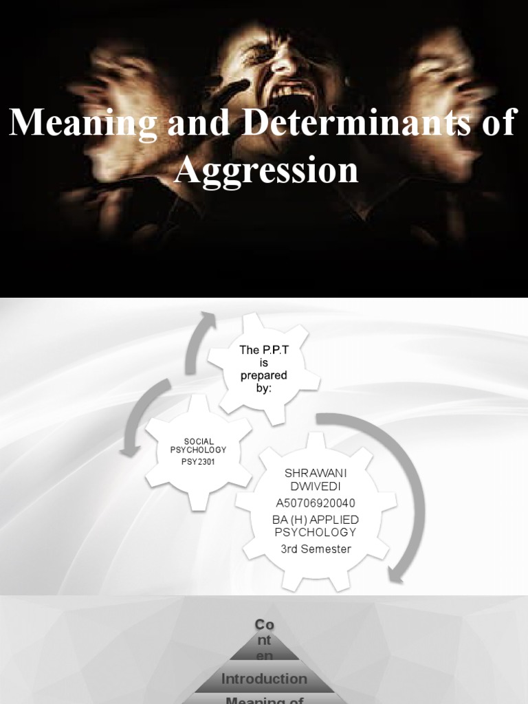 Aggression Social Psychology | PDF | Aggression | Psychological Concepts