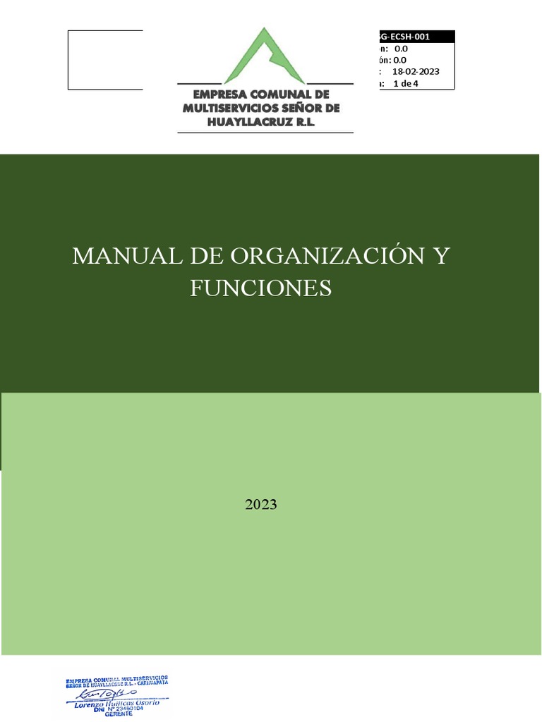 Manual de organización y funciones | PDF | Business | Economias