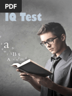 IQ Test | PDF
