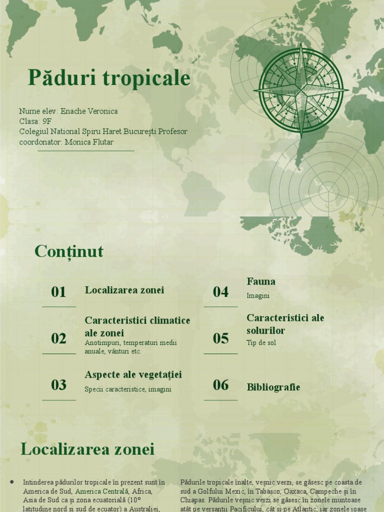 Proiect Enache Veronica | PDF