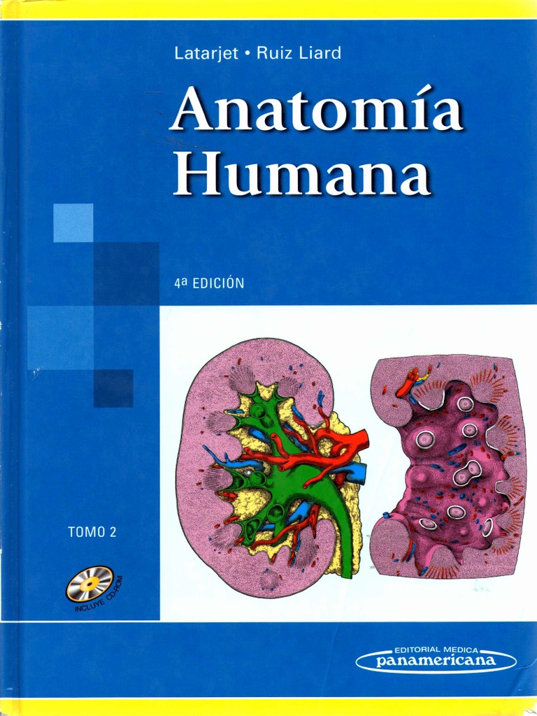 AnatomÃ A Humana. Tomo 2, 4ta EdiciÃ N - Michel Latarjet-FREELIBROS ...