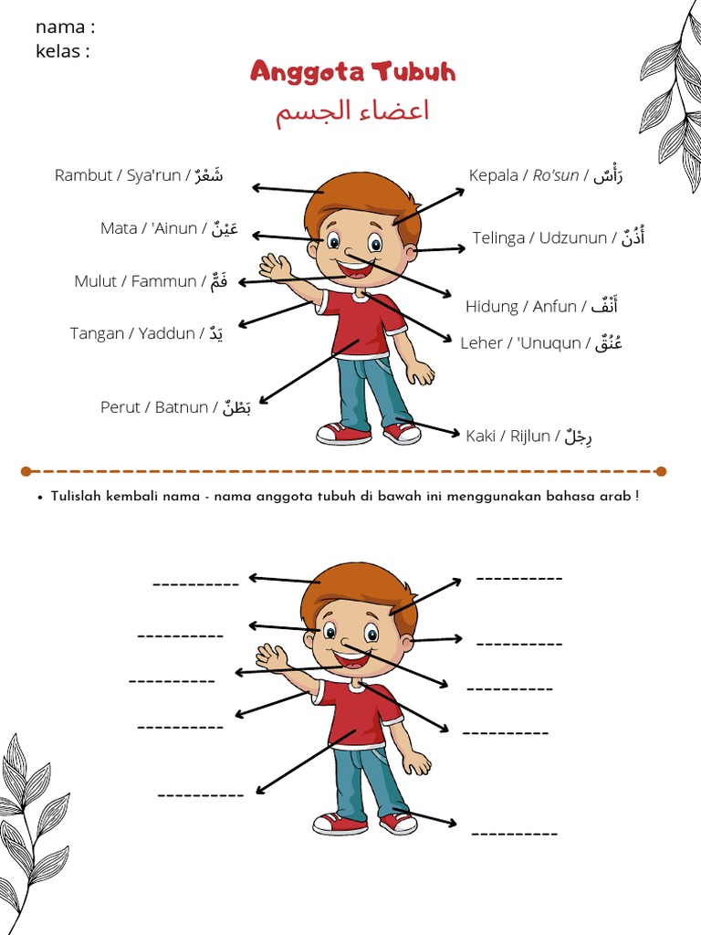 Bahasa Arab Anggota Tubuh | PDF