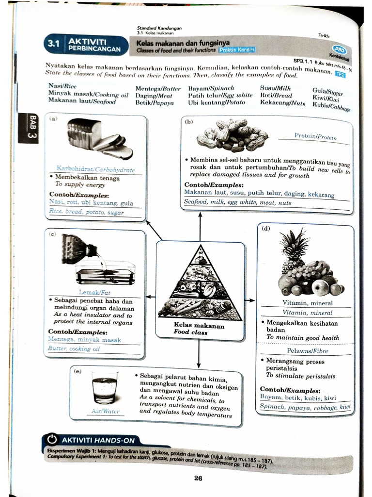 Jawapan Science Process Skill Sasbadi T2 Bab 3 | PDF