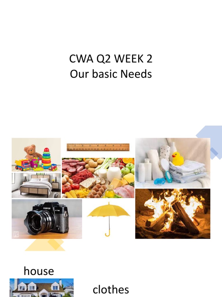 Basic Needs | PDF | Human Appearance | Design