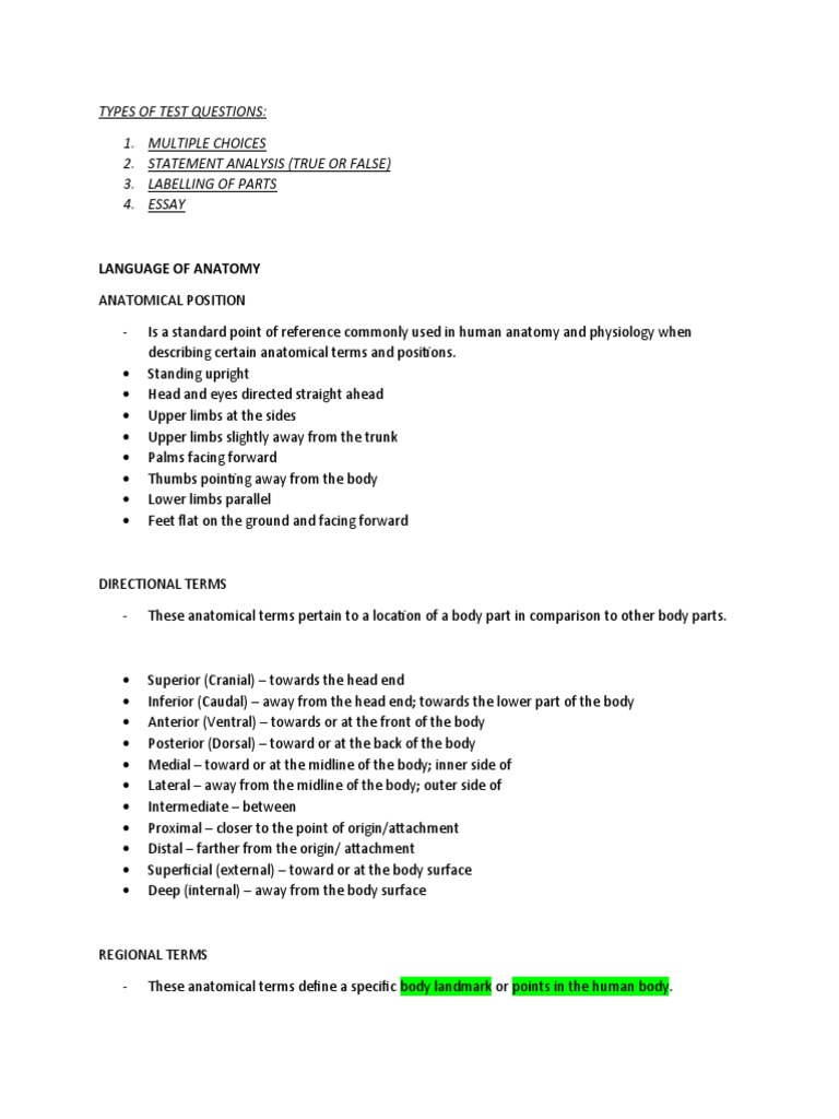 Anaphy Lab Reviewer Midterm 1st Sem | PDF | Skin | Endoplasmic Reticulum