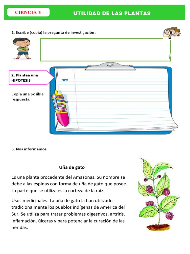 D3 A1 FICHA CT. Utilidad de Las Plantas | PDF | Salud y bienestar ...