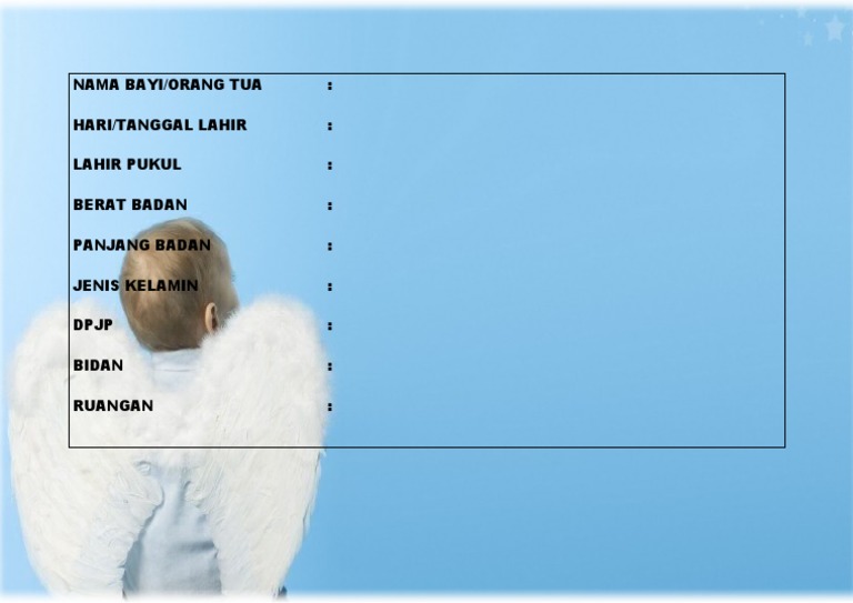 Identitas Bayi (Data) | PDF