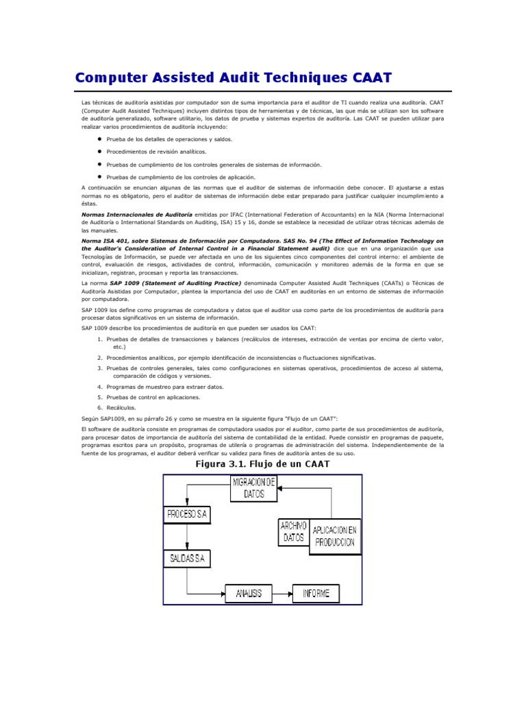 Computer Assisted Audit Techniques CAAT | Computer File | Databases