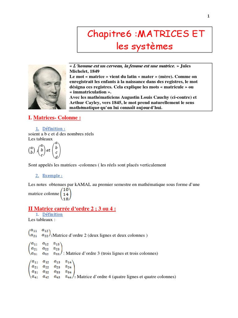 Matrices et Systèmes Linéaires en Mathématiques | PDF | Matrice ...