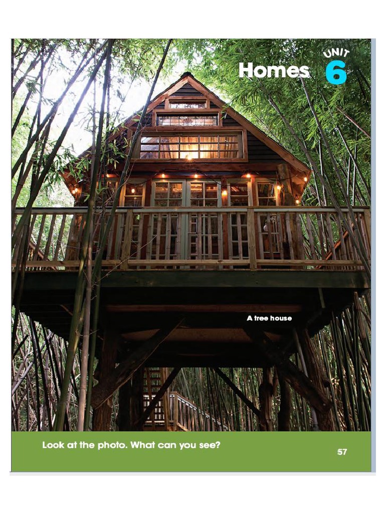 Nat Geo Look 1 Unit 6 | PDF