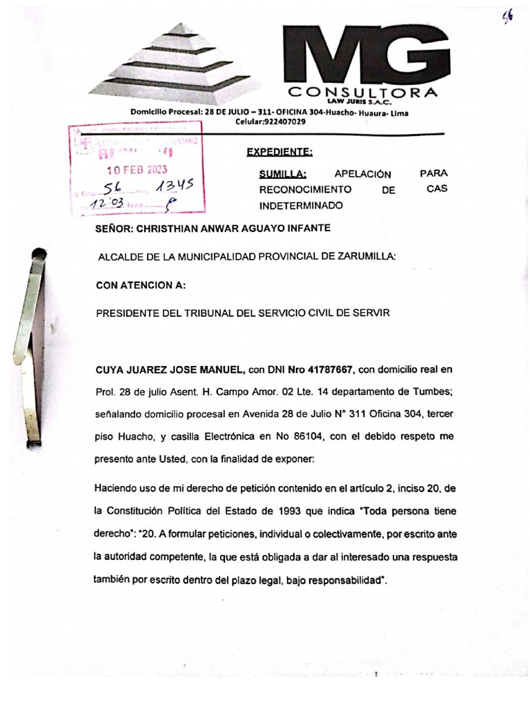 Cargos - Josa Manuel Cuya | PDF