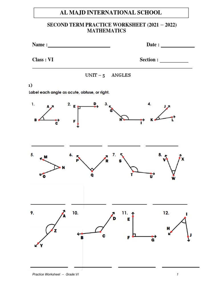 Grade 6 Maths Practice Worksheet 2021-2022 | PDF | Angle | Geometry
