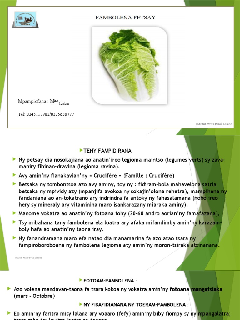 Fambolena Petsay | PDF