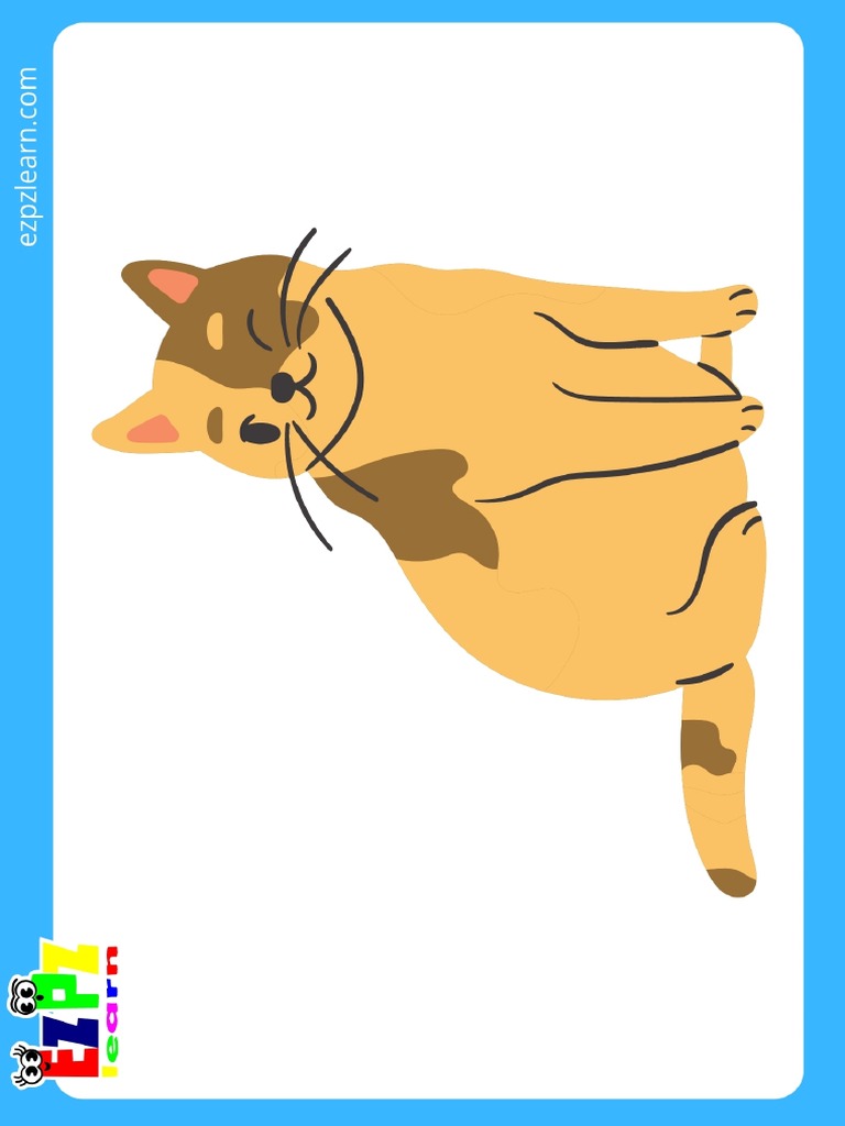 pets-flashcards-use-online-or-download-pdf-file--free-to-use-online ...