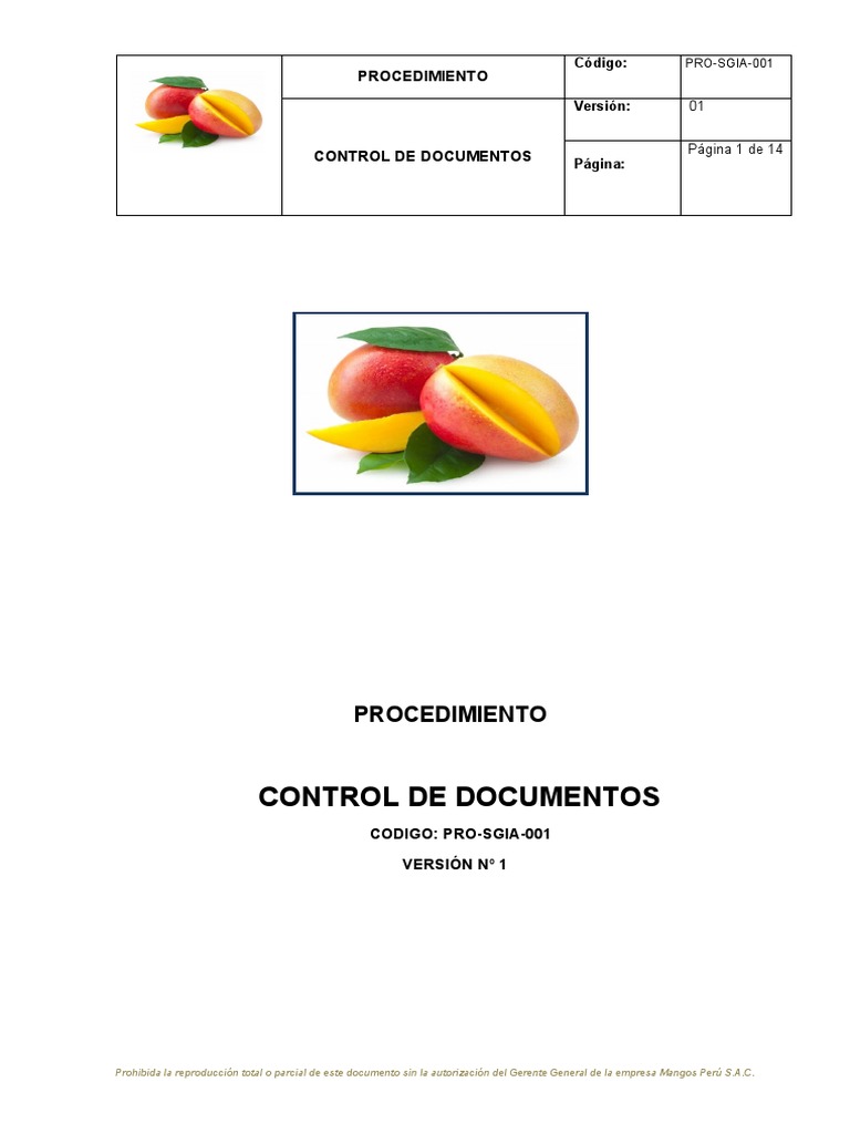 Pro-Sgia-001 Control de Documentos | PDF | Documento | Sistema de ...