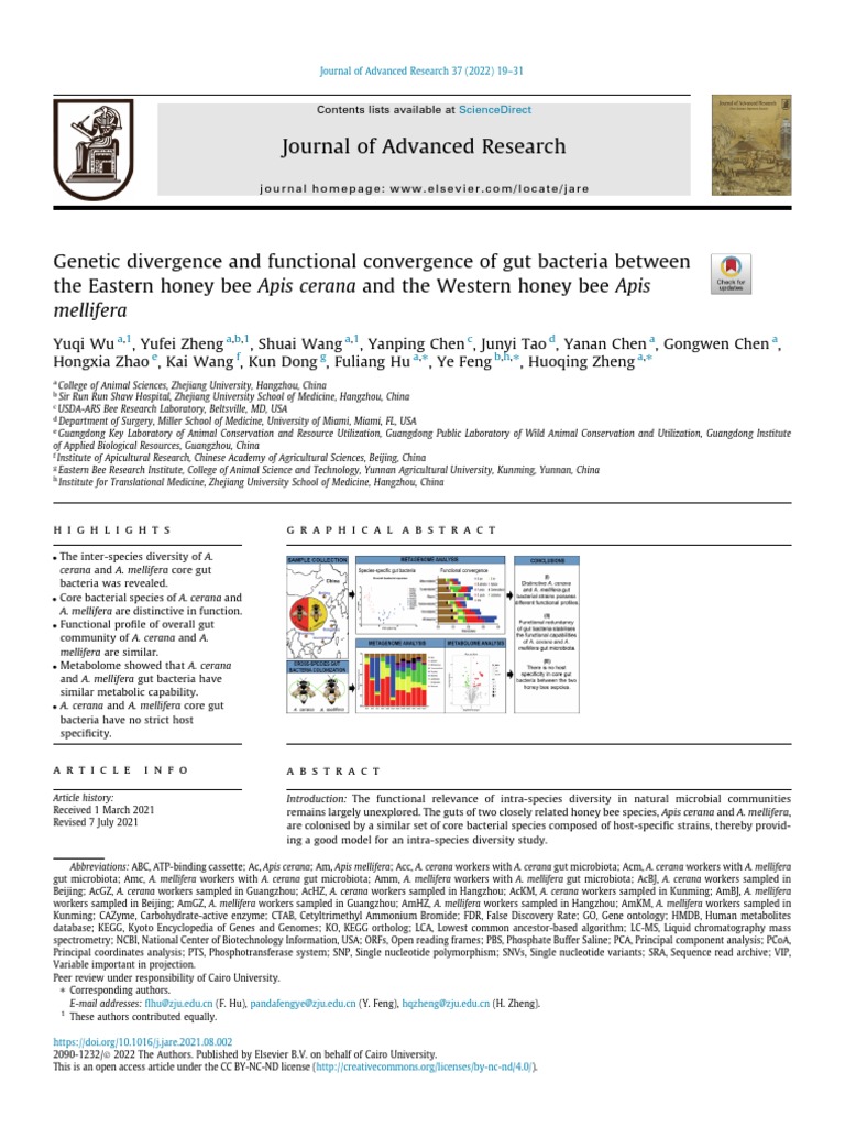 Genetic Divergence and Functional Convergence of Gut Bacter - 2022 ...