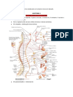 Forames Do Crânio | PDF | Neuroanatomia | Anatomia humana