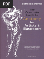 Morpho Simplified Forms Anatomy For Artists | PDF