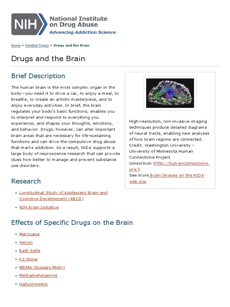 Drugs and The Brain - National Institute On Drug Abuse (NIDA ...
