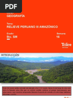 El Relieve Amazónico | PDF | Paisaje | Geomorfología