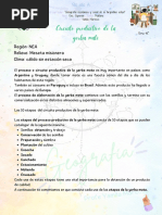 Circuito Productivo de La Yerba Mate: Etapas, Proceso y Características ...