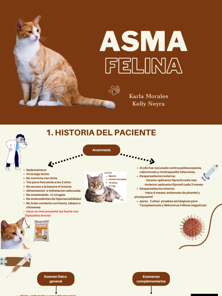 Asma Felina: Diagnóstico y Tratamiento | PDF | Asma | Tos