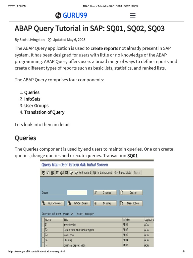 ABAP Query Tutorial in SAP - SQ01, SQ02, SQ03 | PDF | Computing ...
